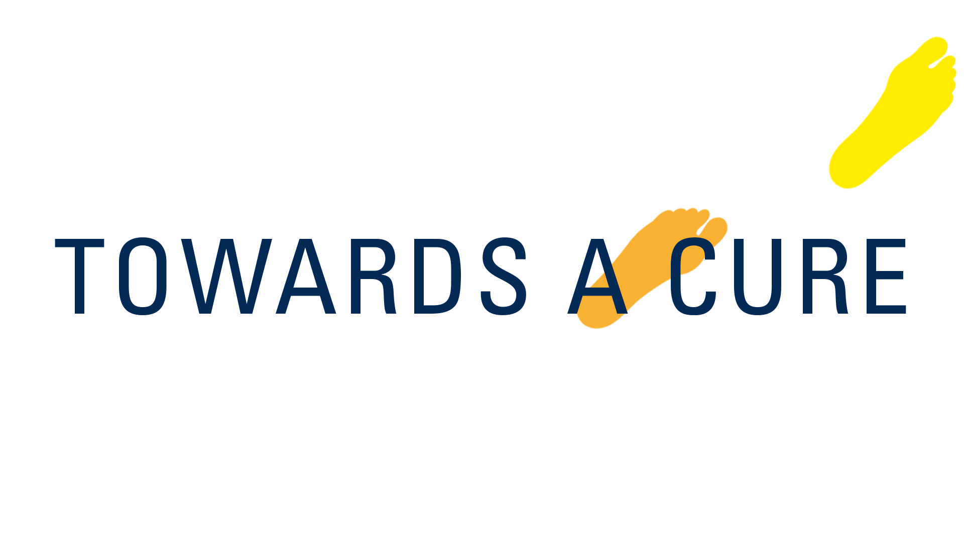 Welcome - LCSB Fundraising